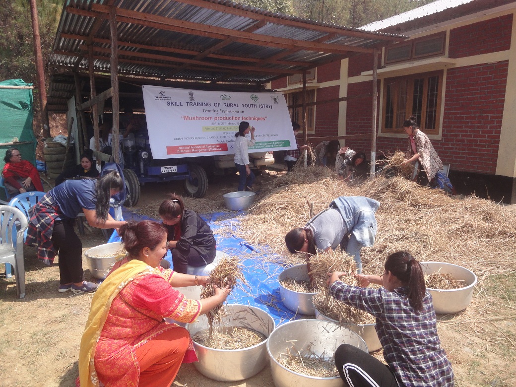 Six days Skill Training of Rural Youth (STRY) on Mushroom Production ...