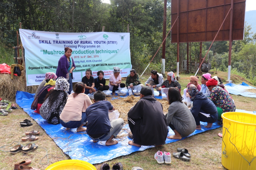 Six days Skill Training Programme on Mushroom Production Techniques ...