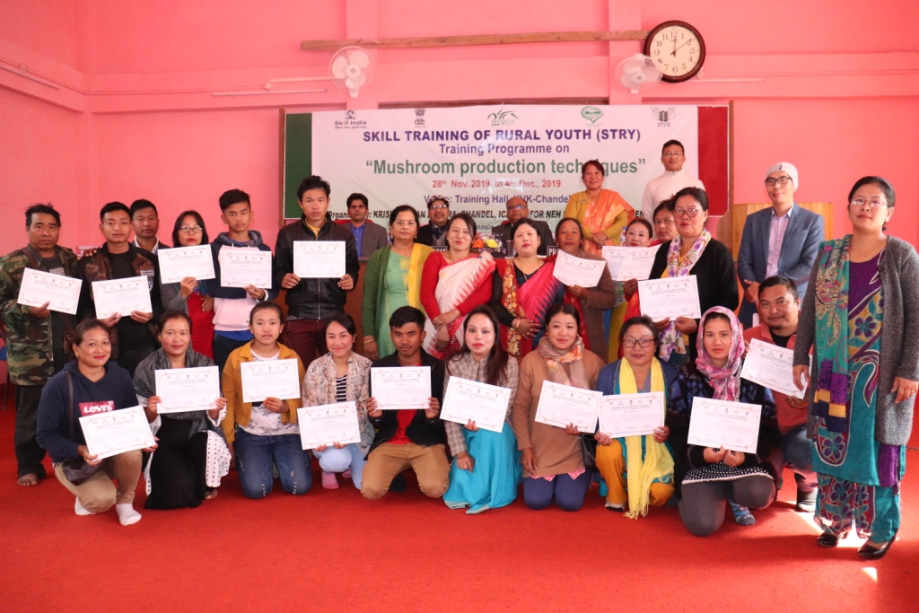 Six days Skill Training Programme on Mushroom Production Techniques ...
